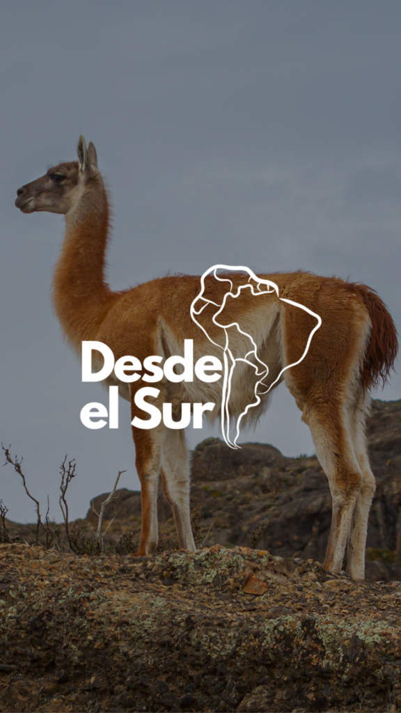Conocenos - Desde el Sur